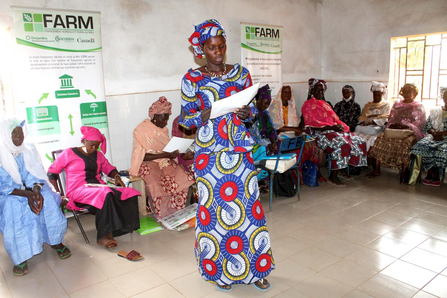 FARM (Agricultural and Rural Finance in Mali) | Mapping International ...